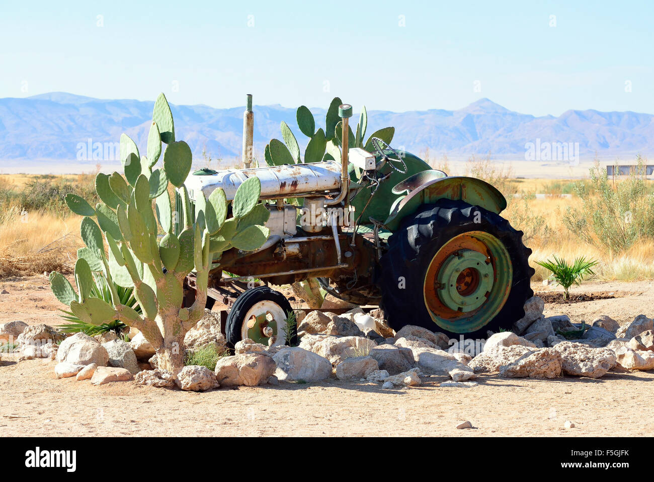 Old tractor amongst cacti, Solitaire, Namibia Stock Photo - Alamy