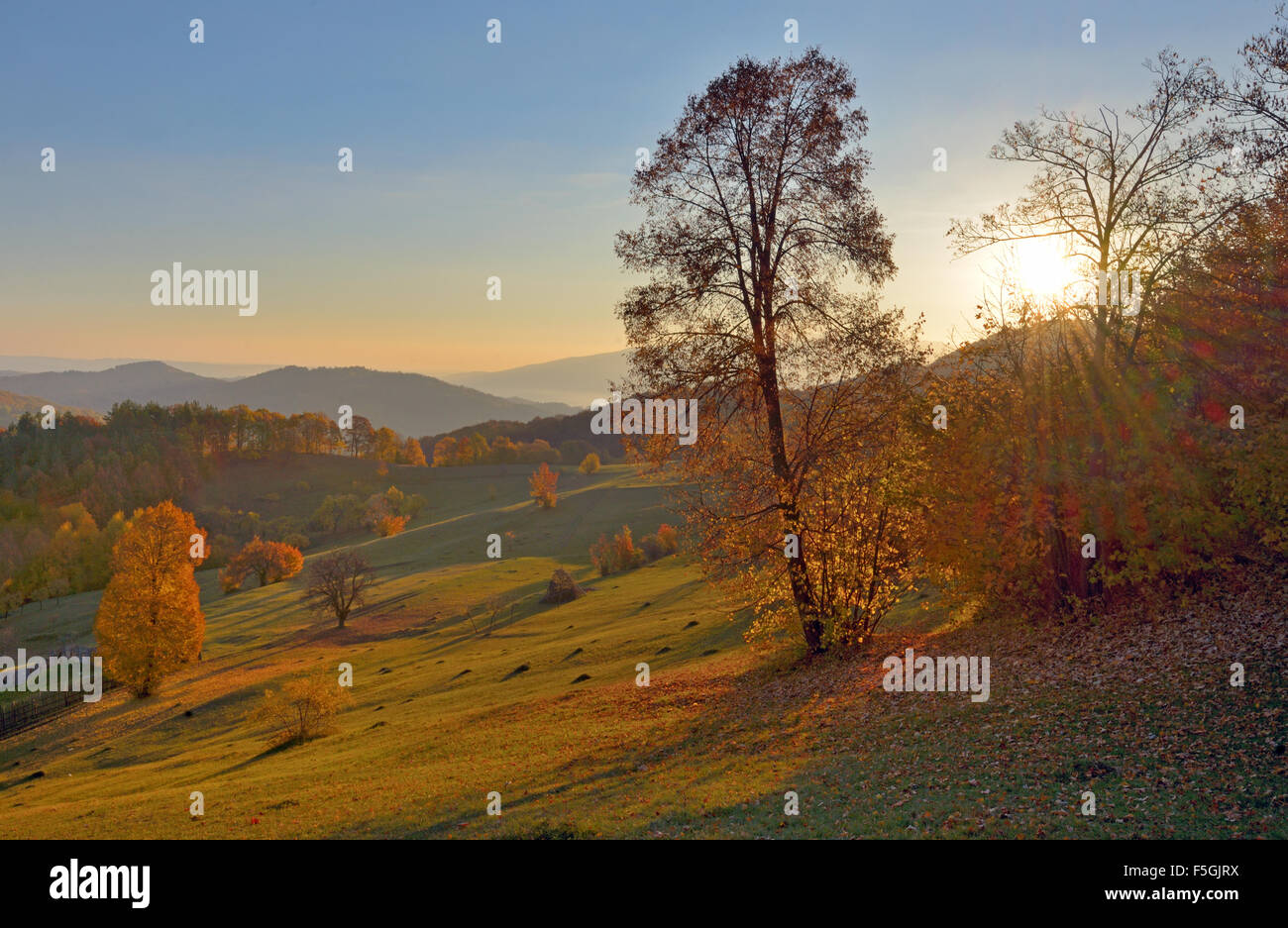 Beautiful sunny foggy autumn hi-res stock photography and images - Alamy