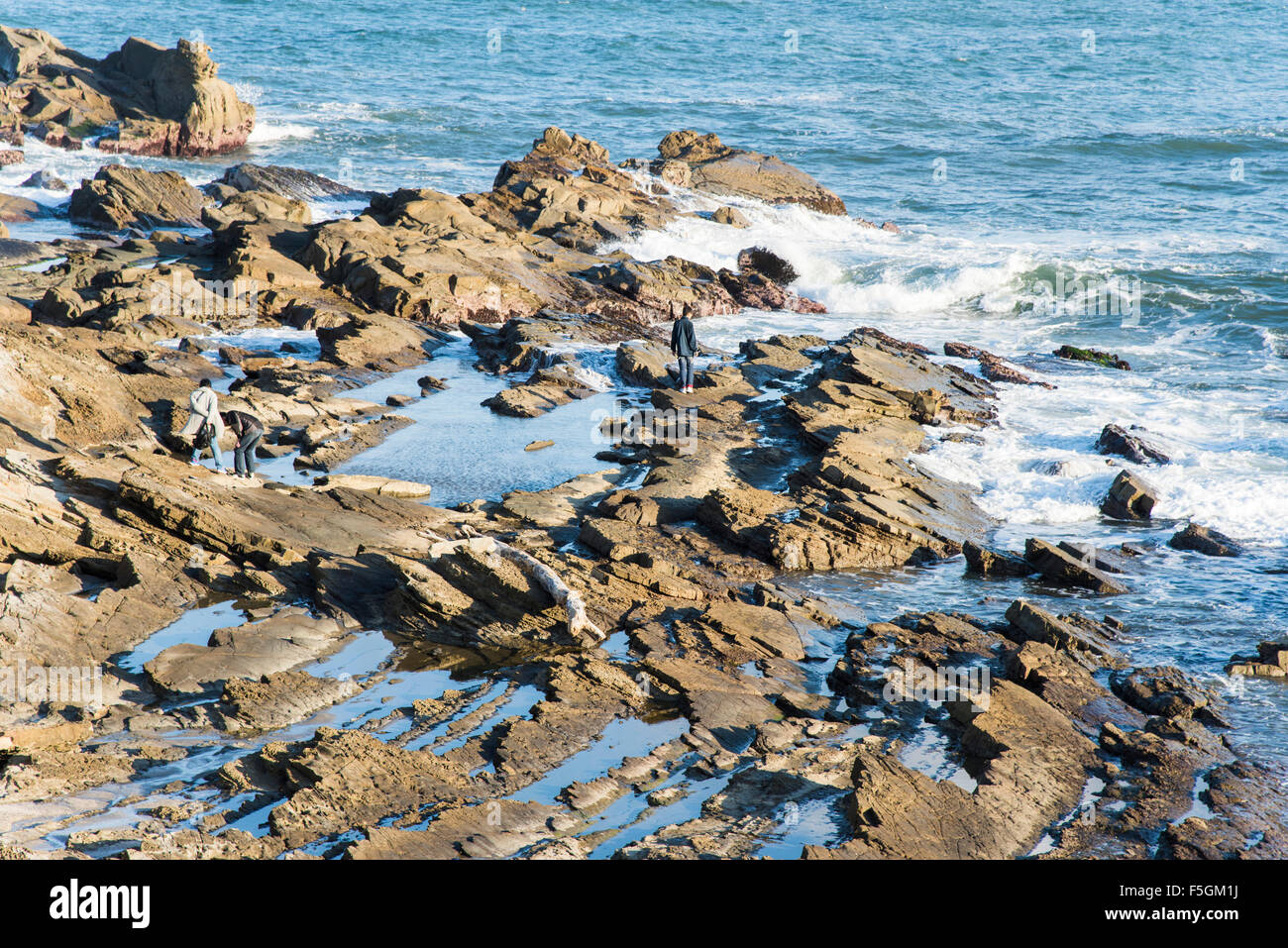 Inubosaki lighthouse,Choshi city,Chiba prefecture,Japan Stock Photo - Alamy