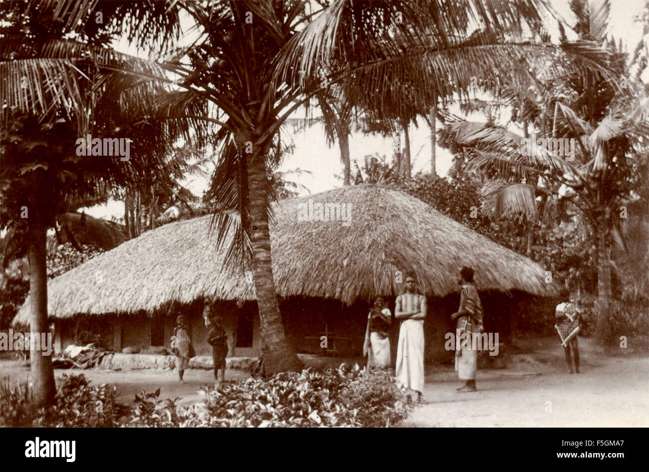 Large hut in the forest, India Stock Photo - Alamy
