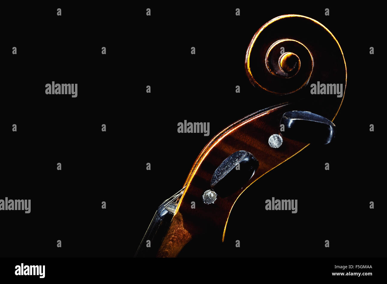 Violin head hi-res stock photography and images - Alamy