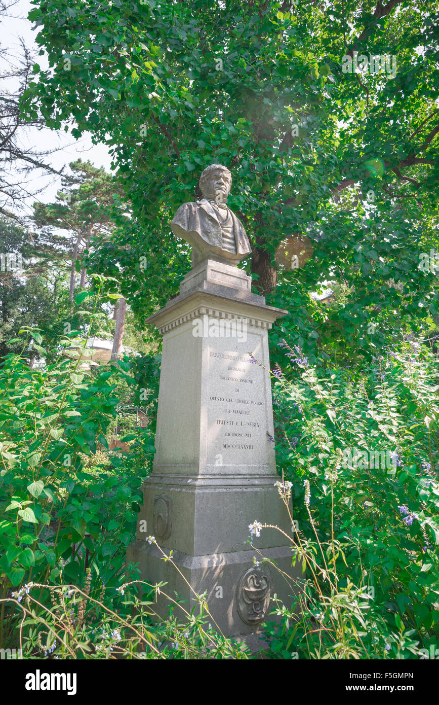 A bust of the botanical pharmacist Bartolommeo Biasoletto in Trieste's ...