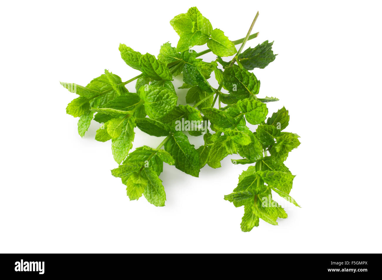Mint flavour herb hi-res stock photography and images - Alamy