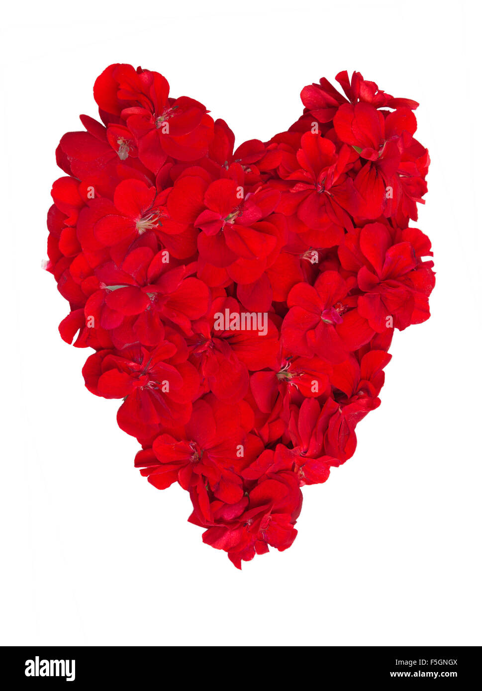 Heart of flower Stock Photo - Alamy