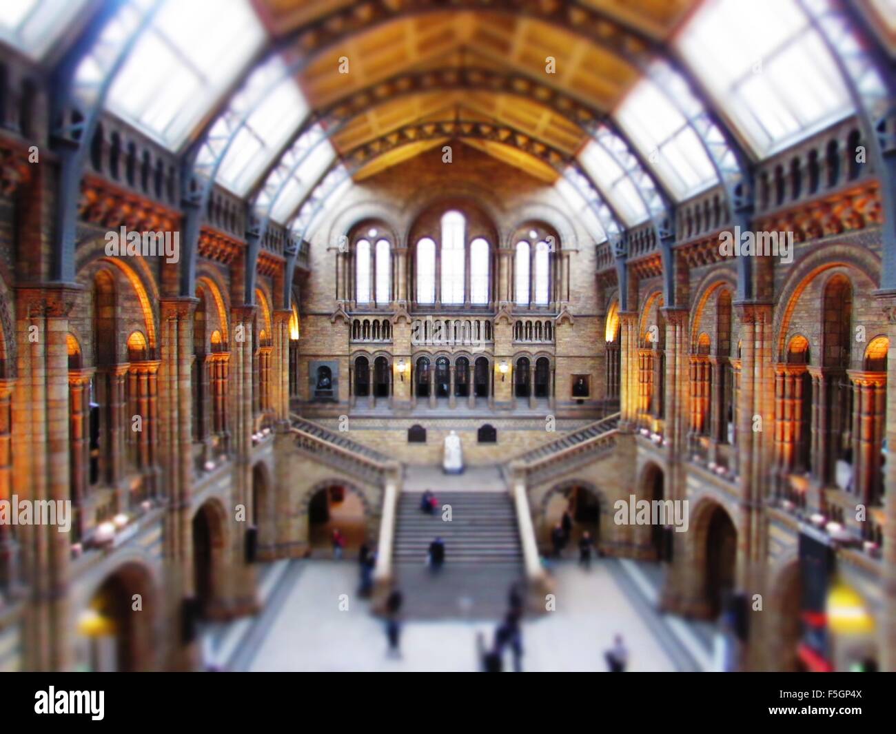 Photograph of the inside of the Natural History Museum Stock Photo - Alamy