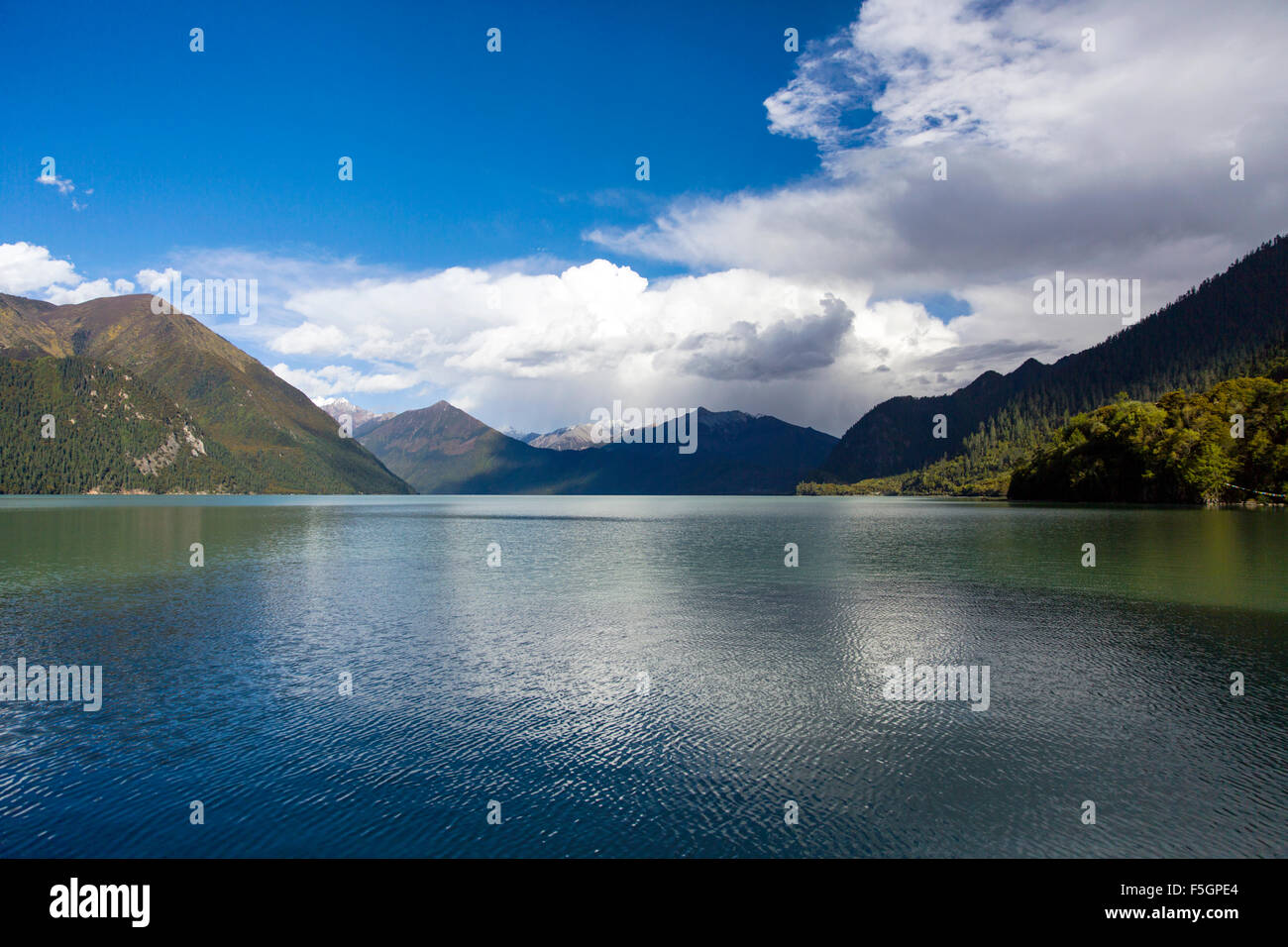 Basum lake hi-res stock photography and images - Alamy