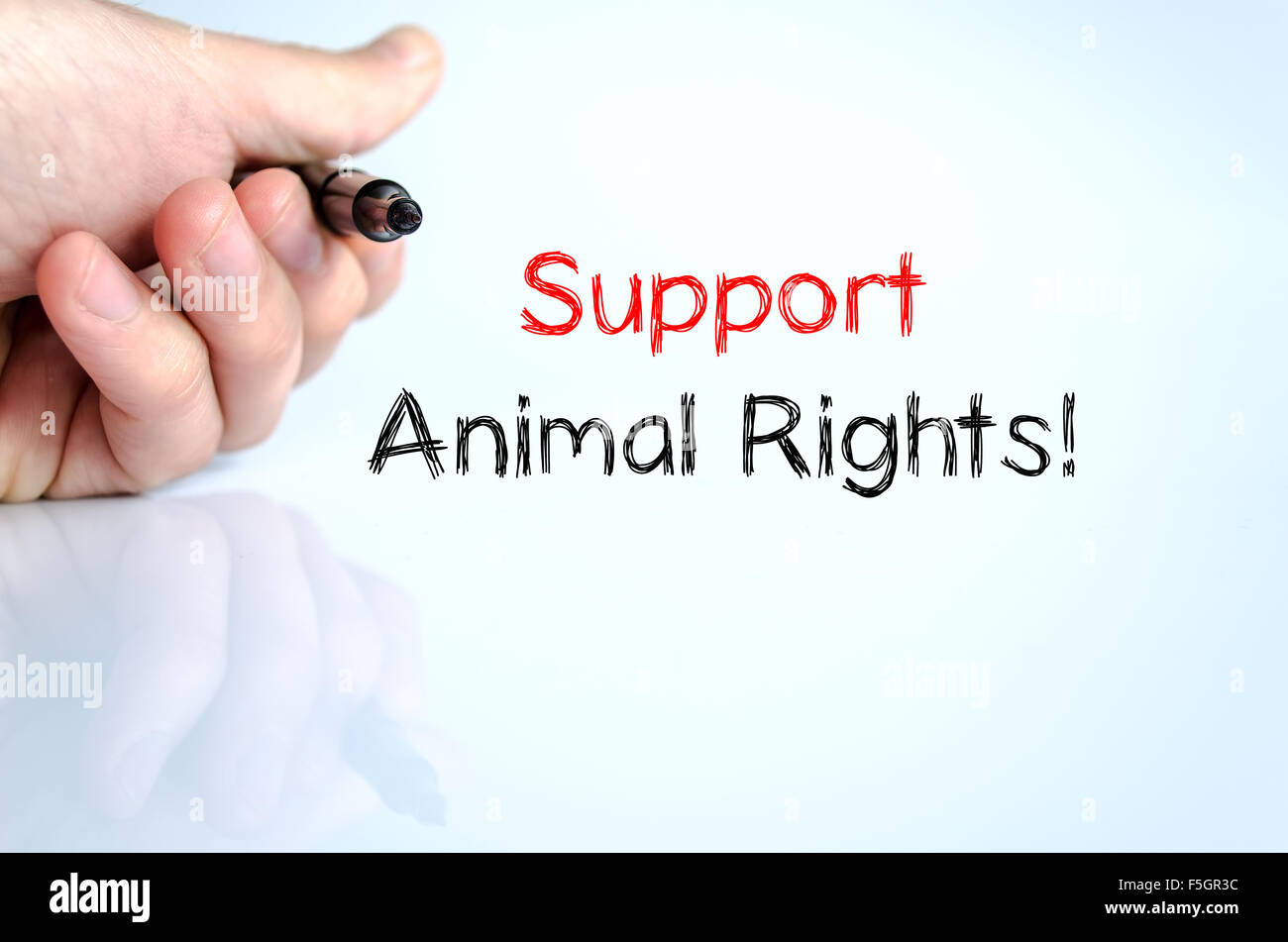 Support animal rights text concept isolated over white background Stock ...