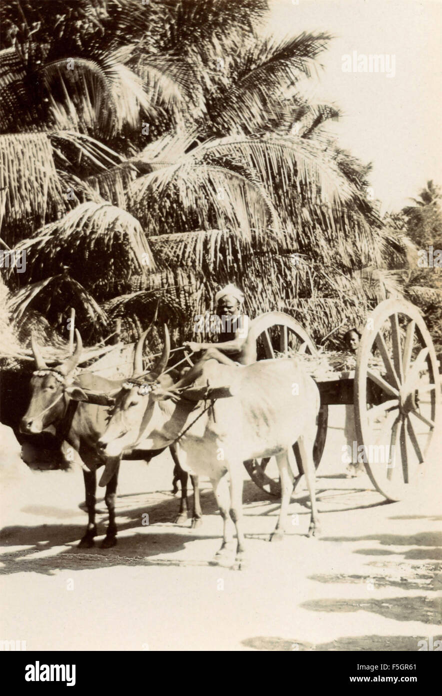 Bullock cart india hi-res stock photography and images - Alamy