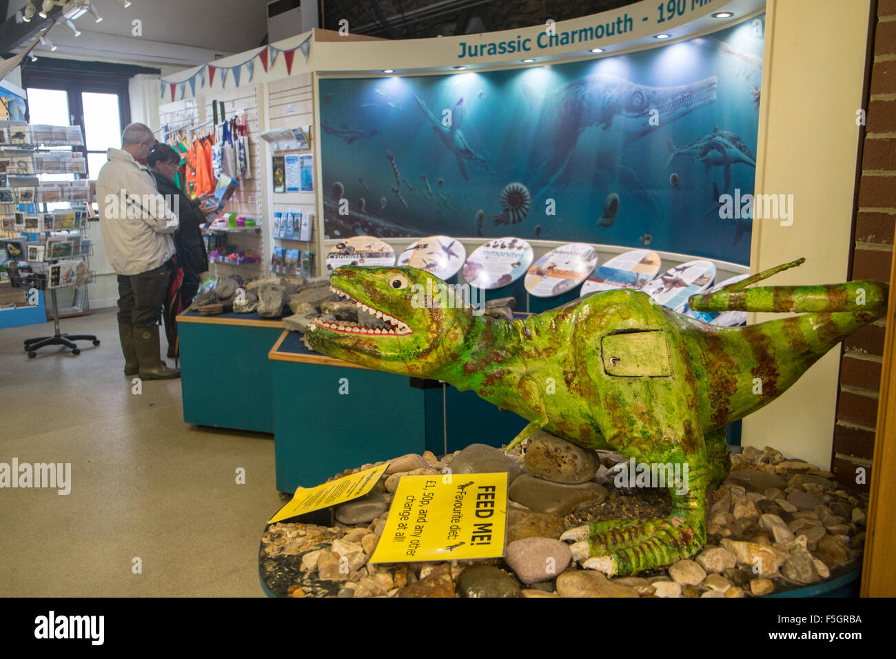 Fossils on display at UK England, Dorset, Charmouth Heritage Coast ...