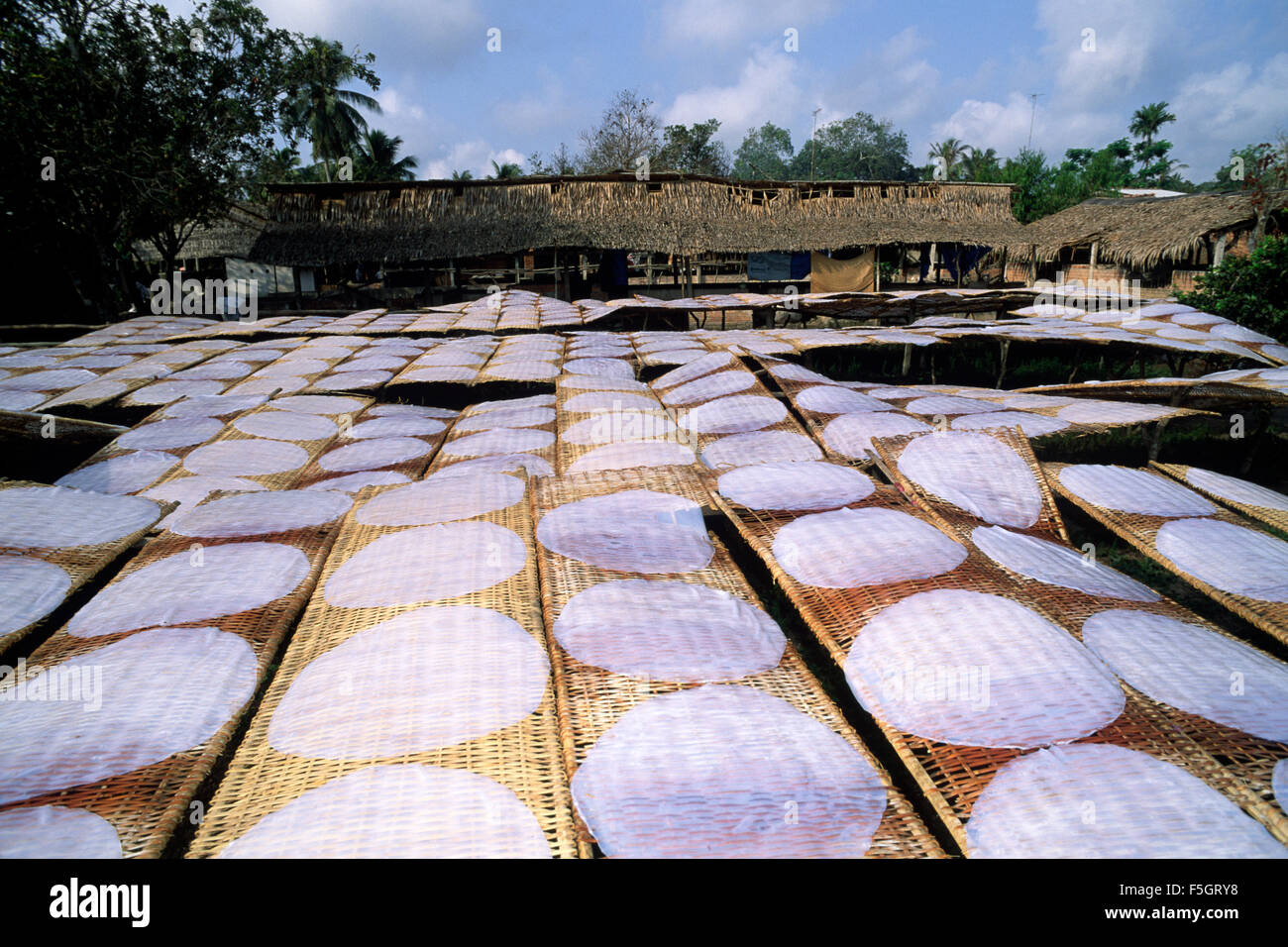 Vietnam, Mekong Delta, rice noodles production Stock Photo - Alamy