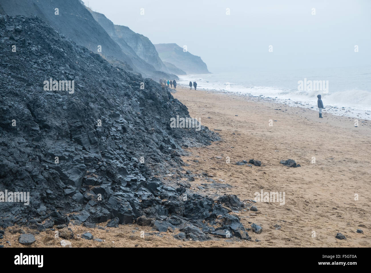 Hunting for fossils on a wind-swept and wet day on Jurassic,Coast ...