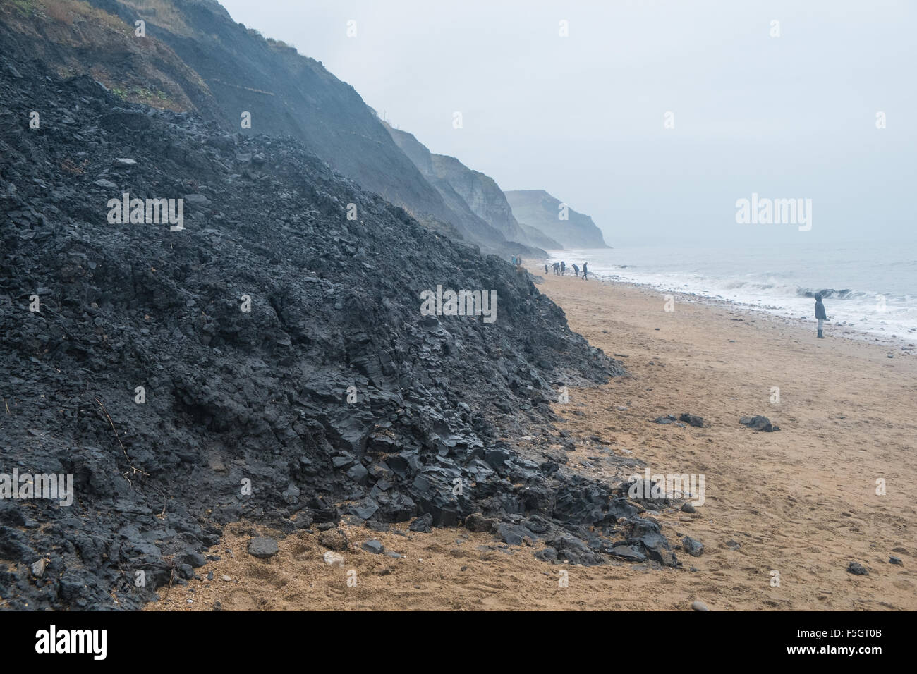 Hunting for fossils on a wind-swept and wet day on Jurassic,Coast ...