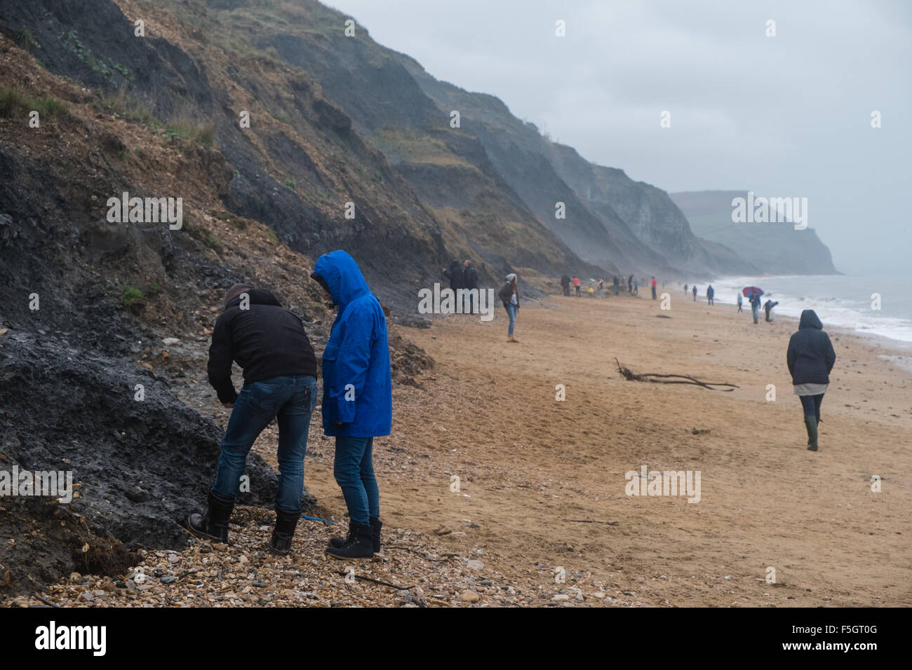 Hunting for fossils on a wind-swept and wet day on Jurassic,Coast ...