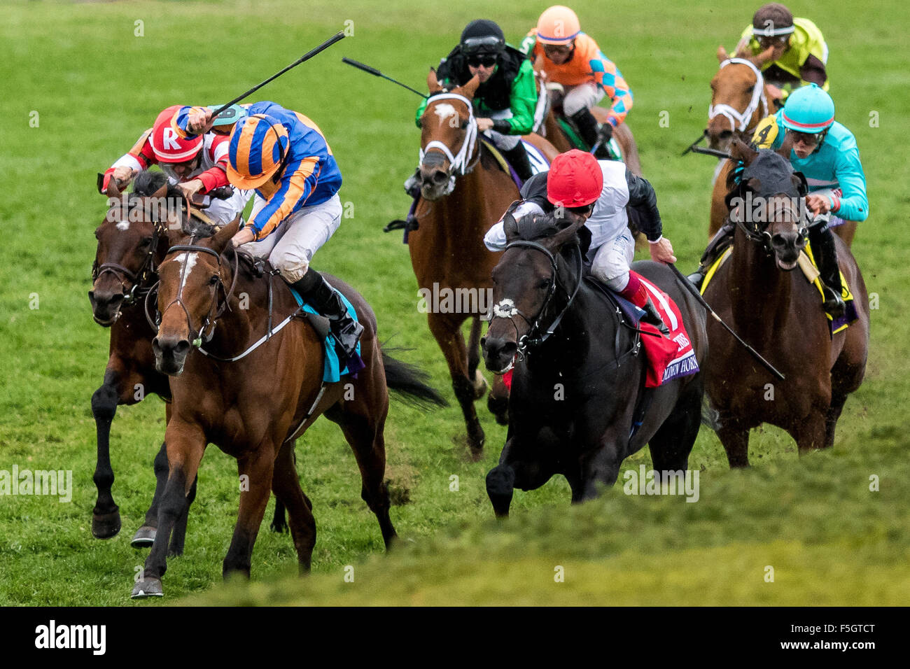 008139 hi-res stock photography and images - Alamy