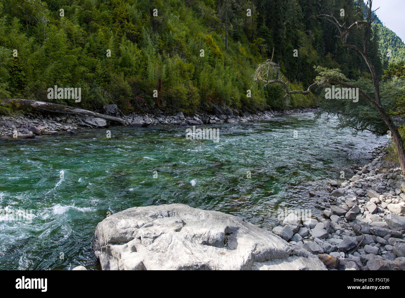 Nanyi valley in Tibet, China Stock Photo - Alamy