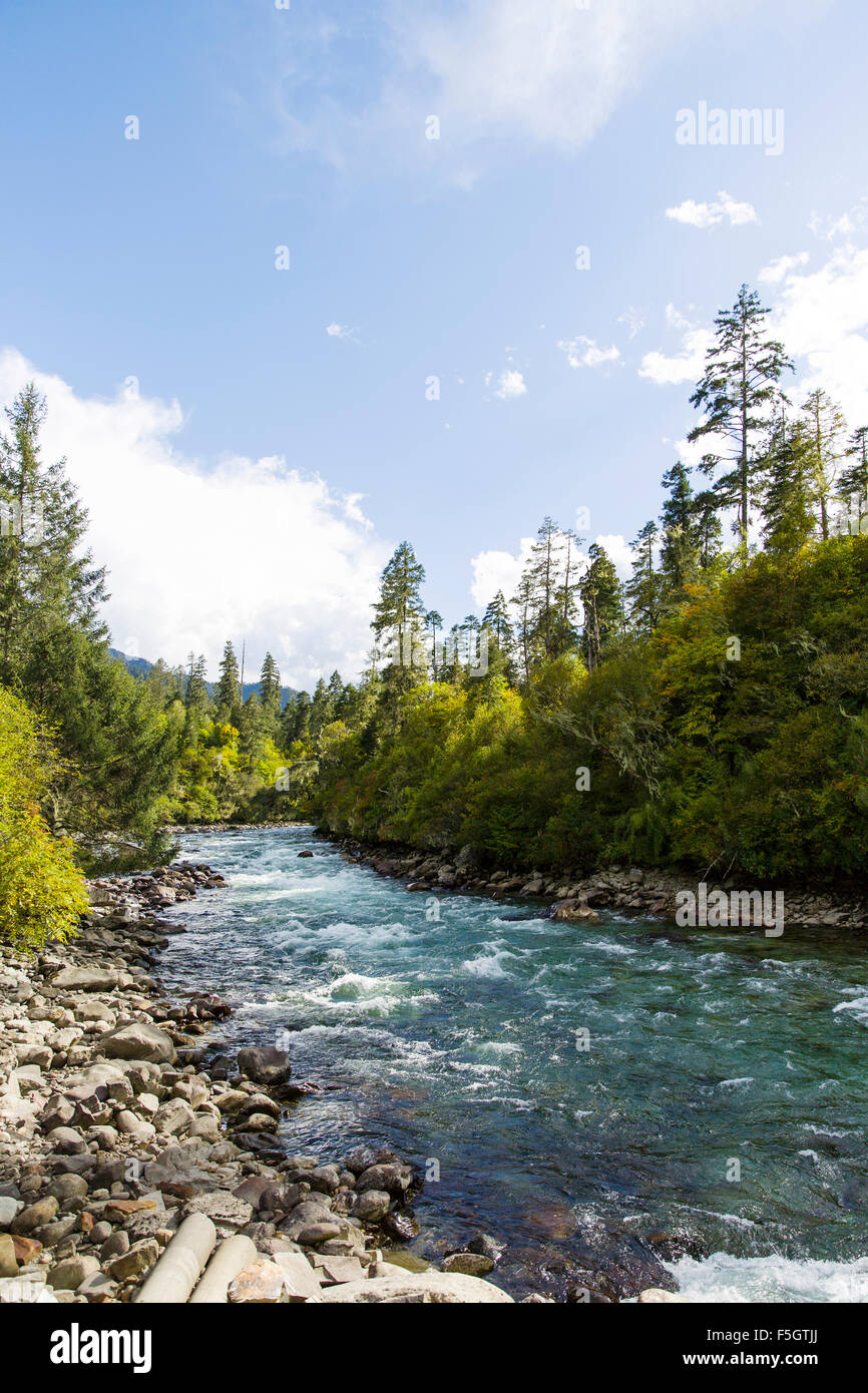 Nanyi valley in Tibet, China Stock Photo - Alamy