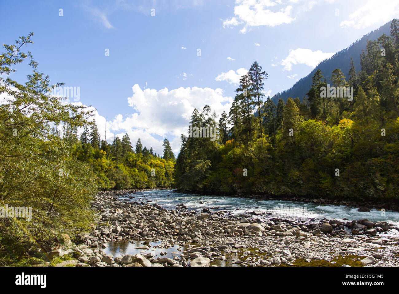 Nanyi valley in Tibet, China Stock Photo - Alamy