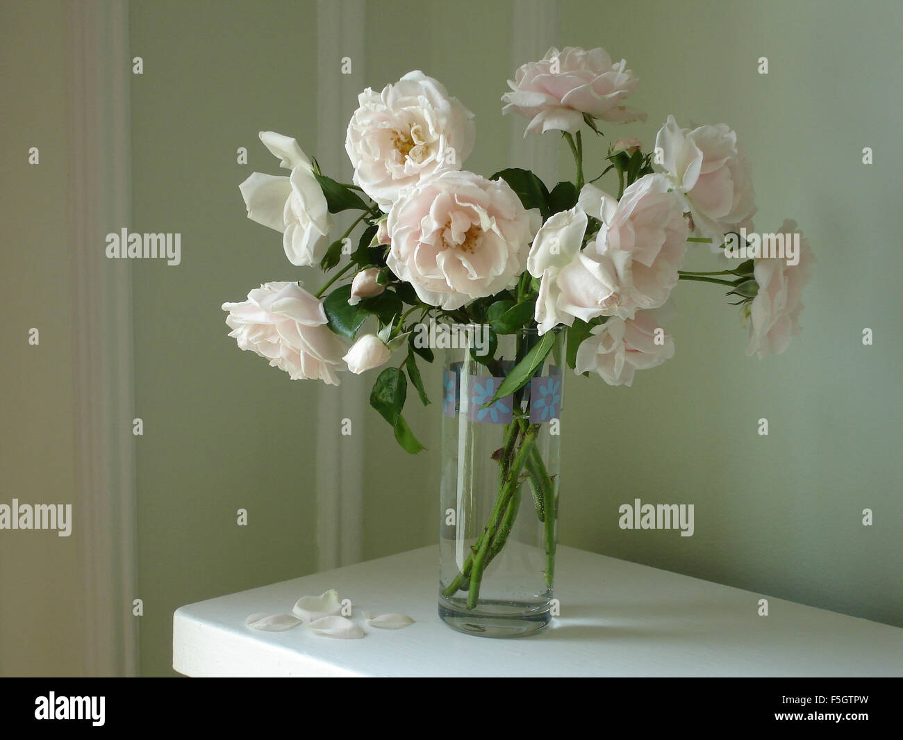 Pink roses in glass Stock Photo - Alamy