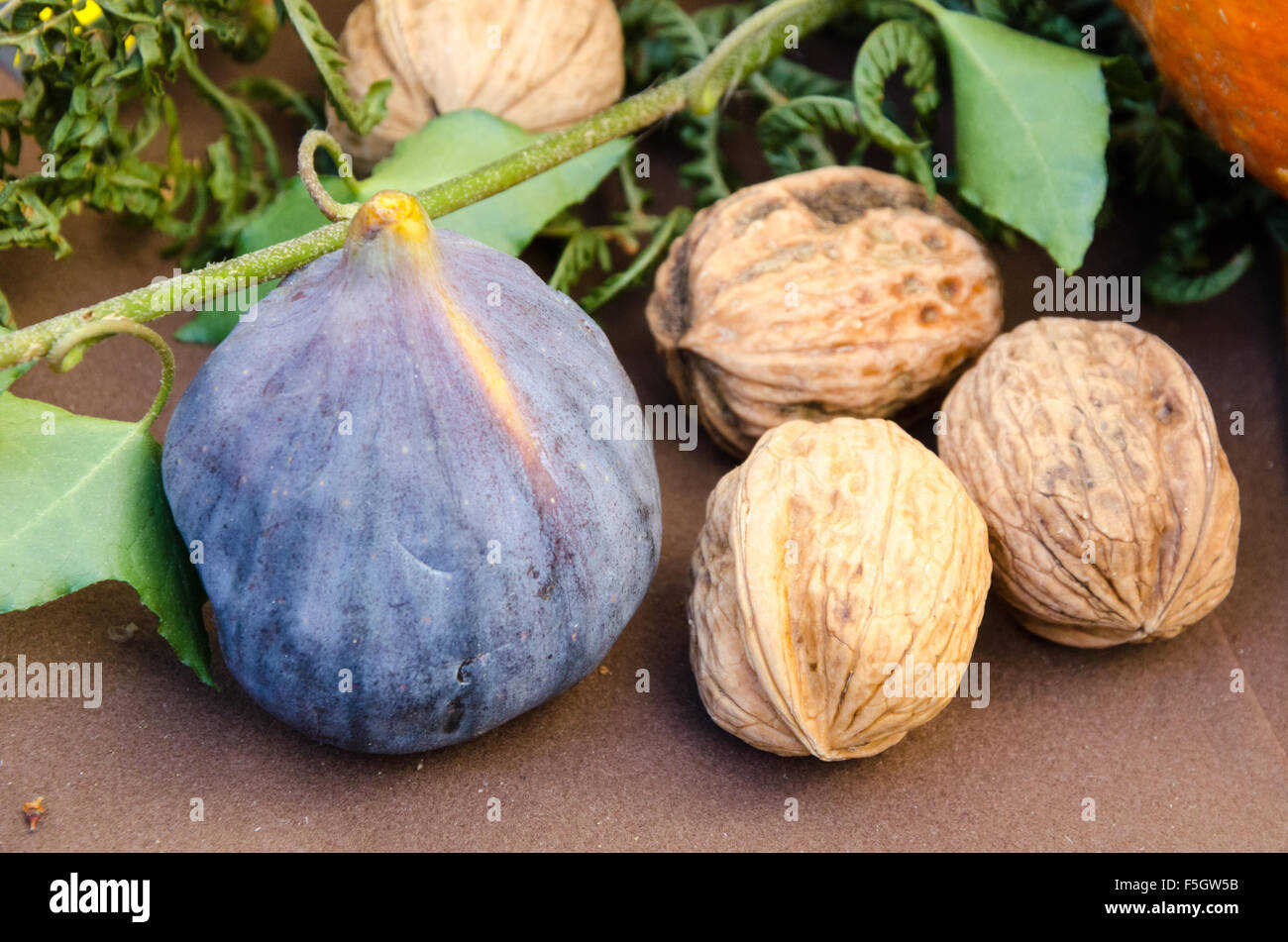 Fall fruits : fig and nuts on a natural background Stock Photo - Alamy