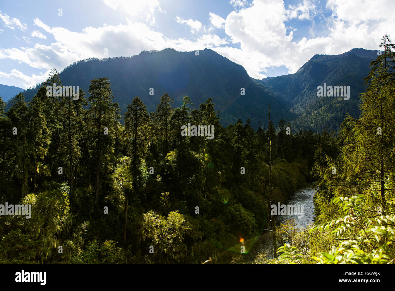 Nanyi valley in Tibet, China Stock Photo - Alamy