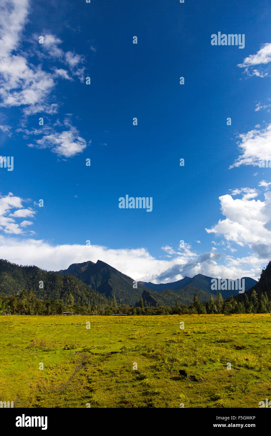 Nanyi valley in Tibet, China Stock Photo - Alamy