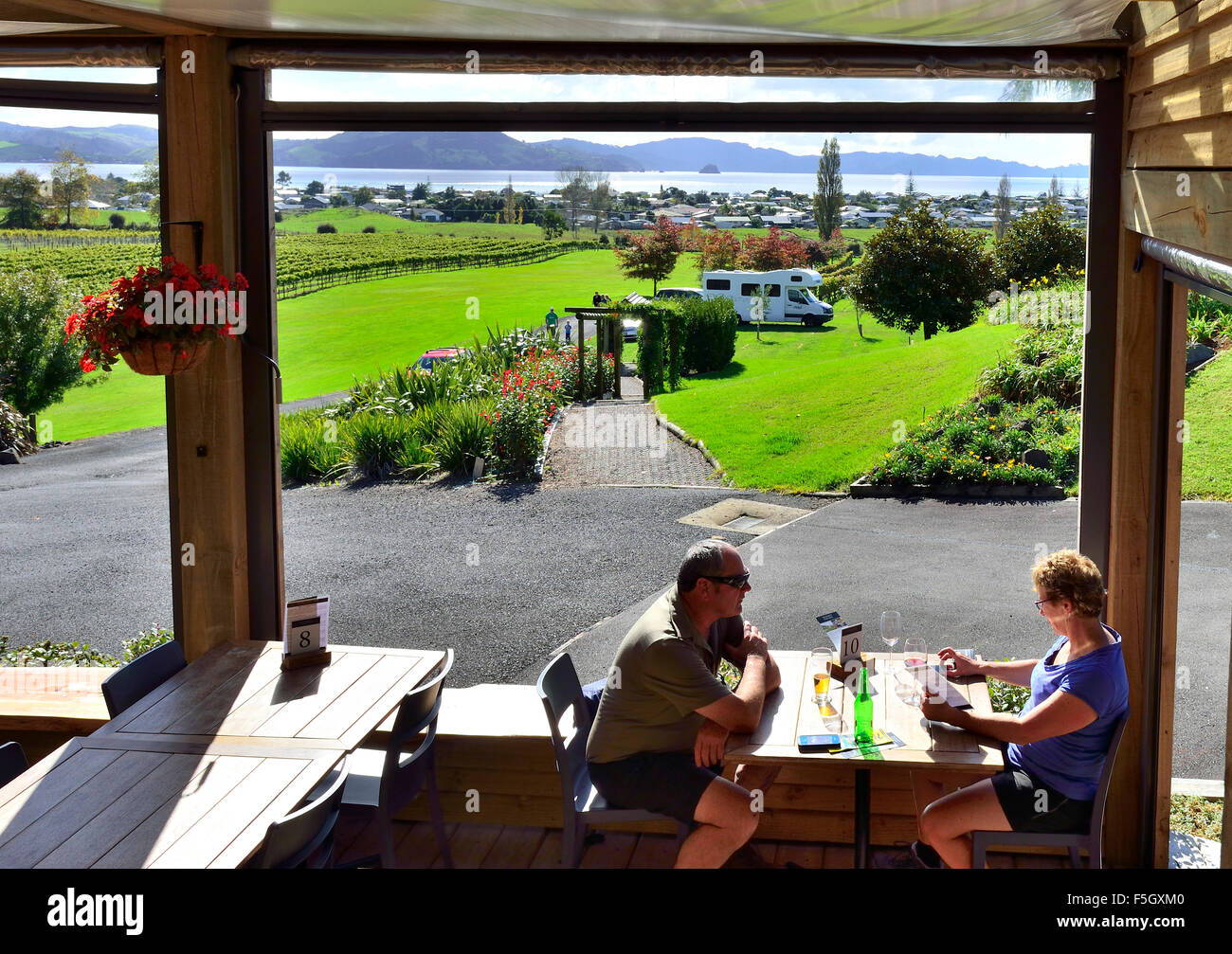 Mercury bay vineyards hi-res stock photography and images - Alamy