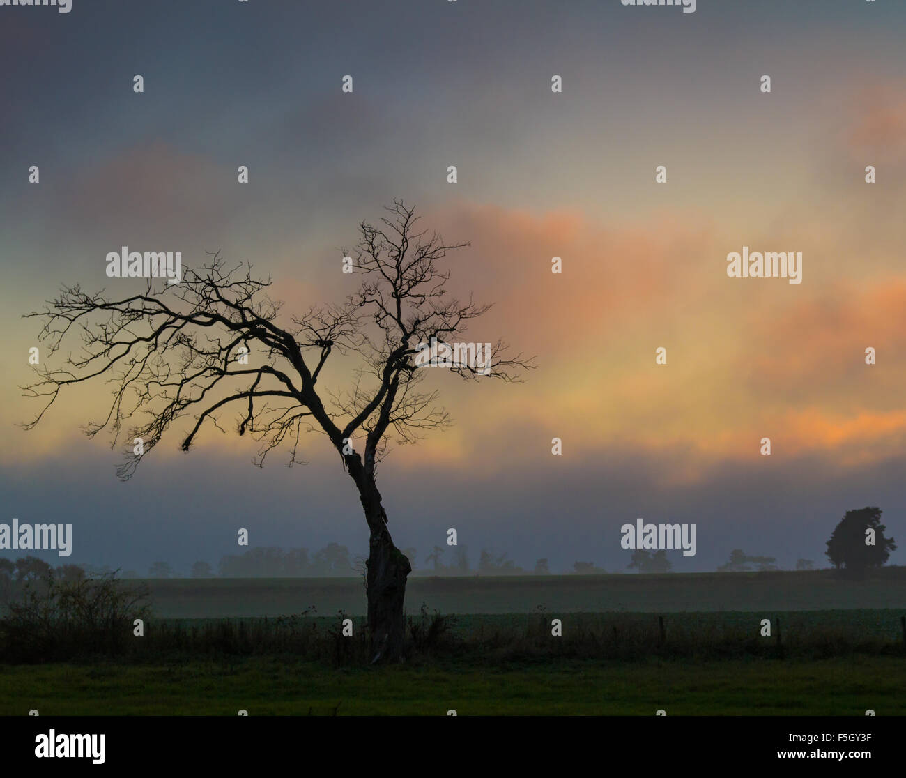 Fog england winter landscape hi-res stock photography and images - Alamy