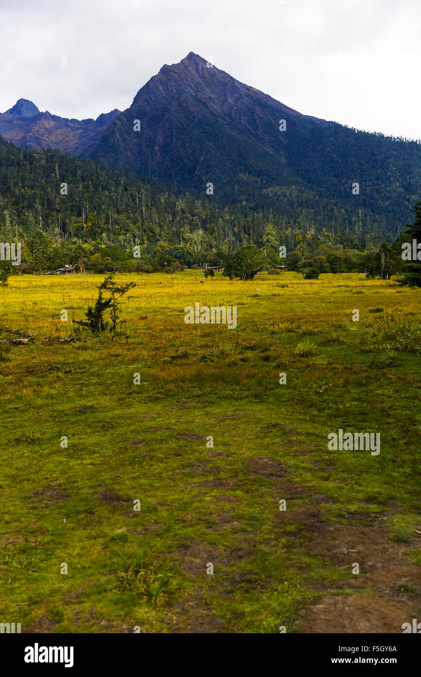 Nanyi valley in Tibet, China Stock Photo - Alamy
