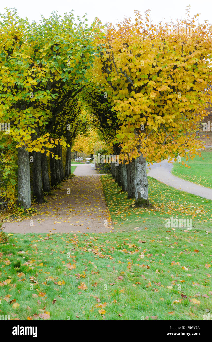 the garden at Gunnebo castle in sweden the tree i beutiful Stock Photo ...