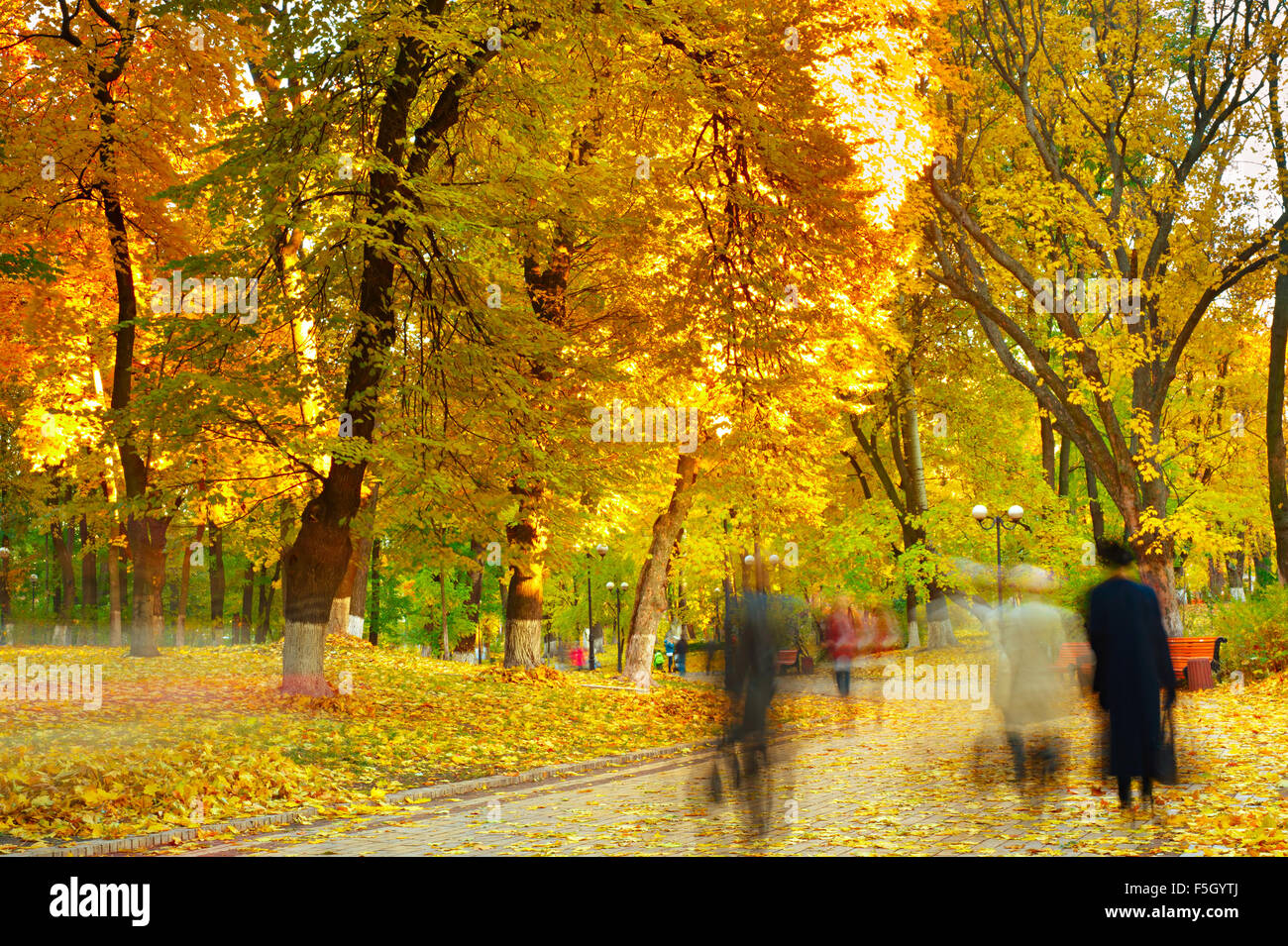 People walking in a autumn park. Long Exposure Stock Photo - Alamy