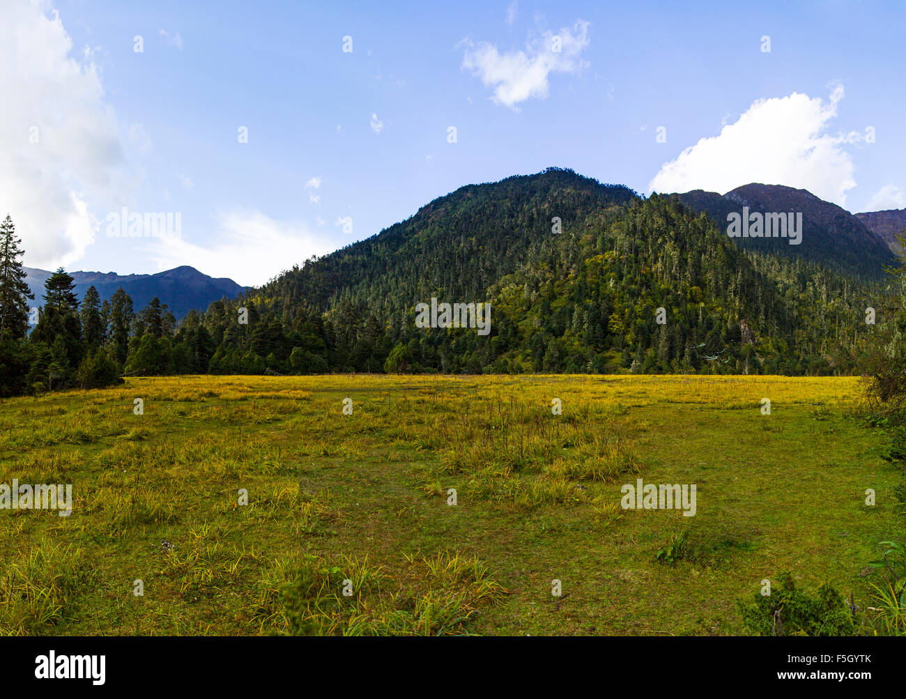 Nanyi valley in Tibet, China Stock Photo - Alamy