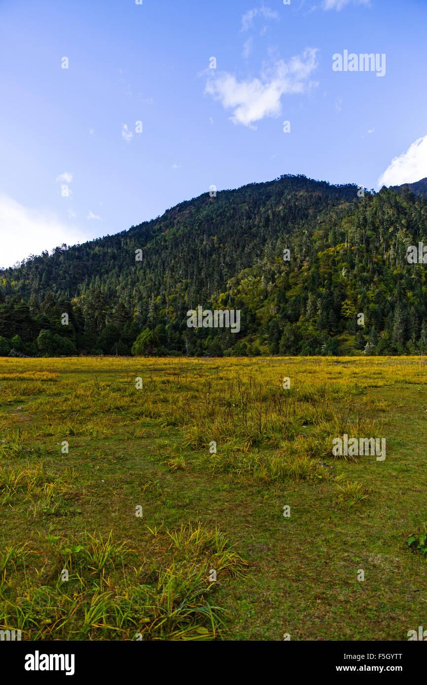 Nanyi valley in Tibet, China Stock Photo - Alamy
