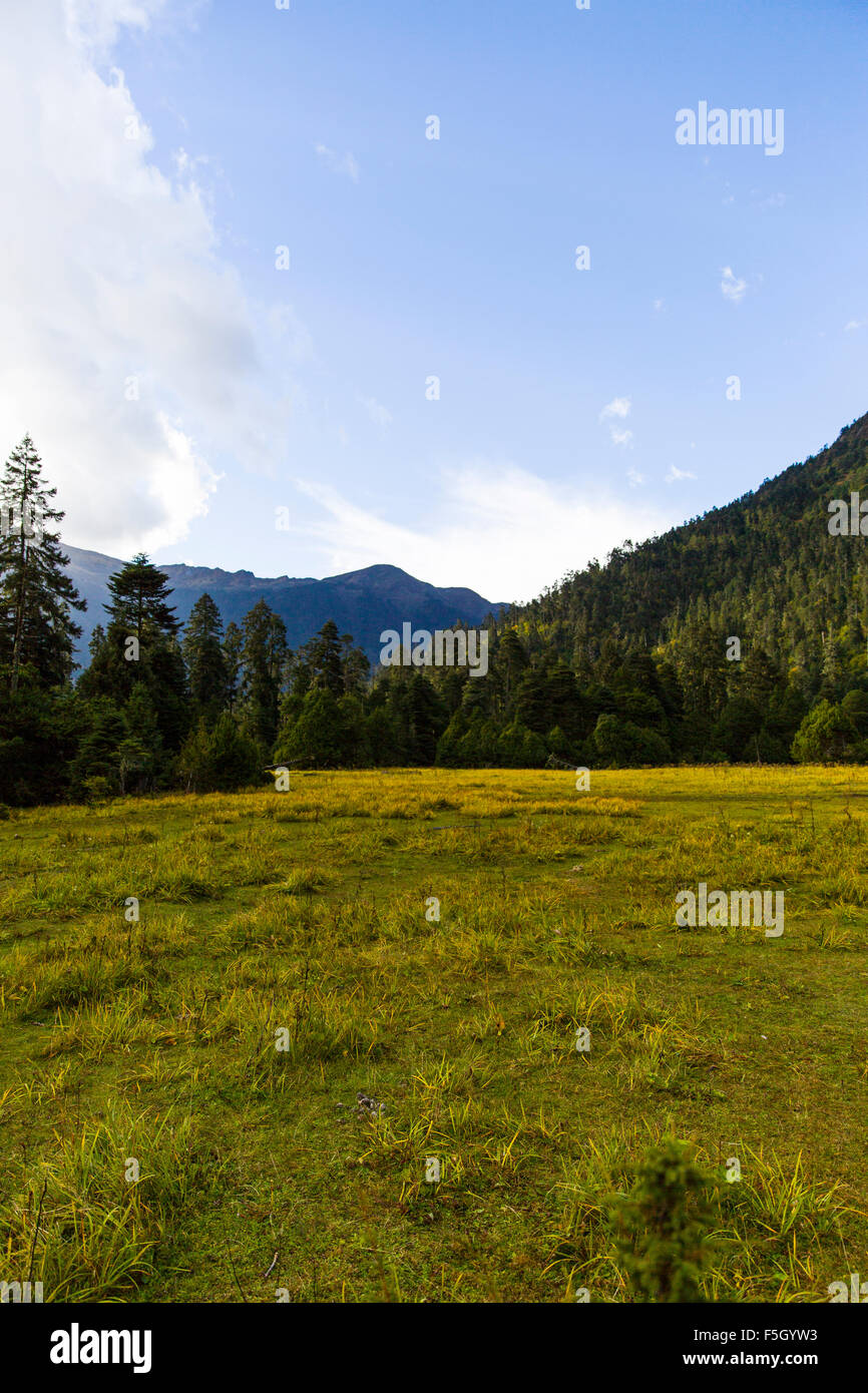 Nanyi valley in Tibet, China Stock Photo - Alamy