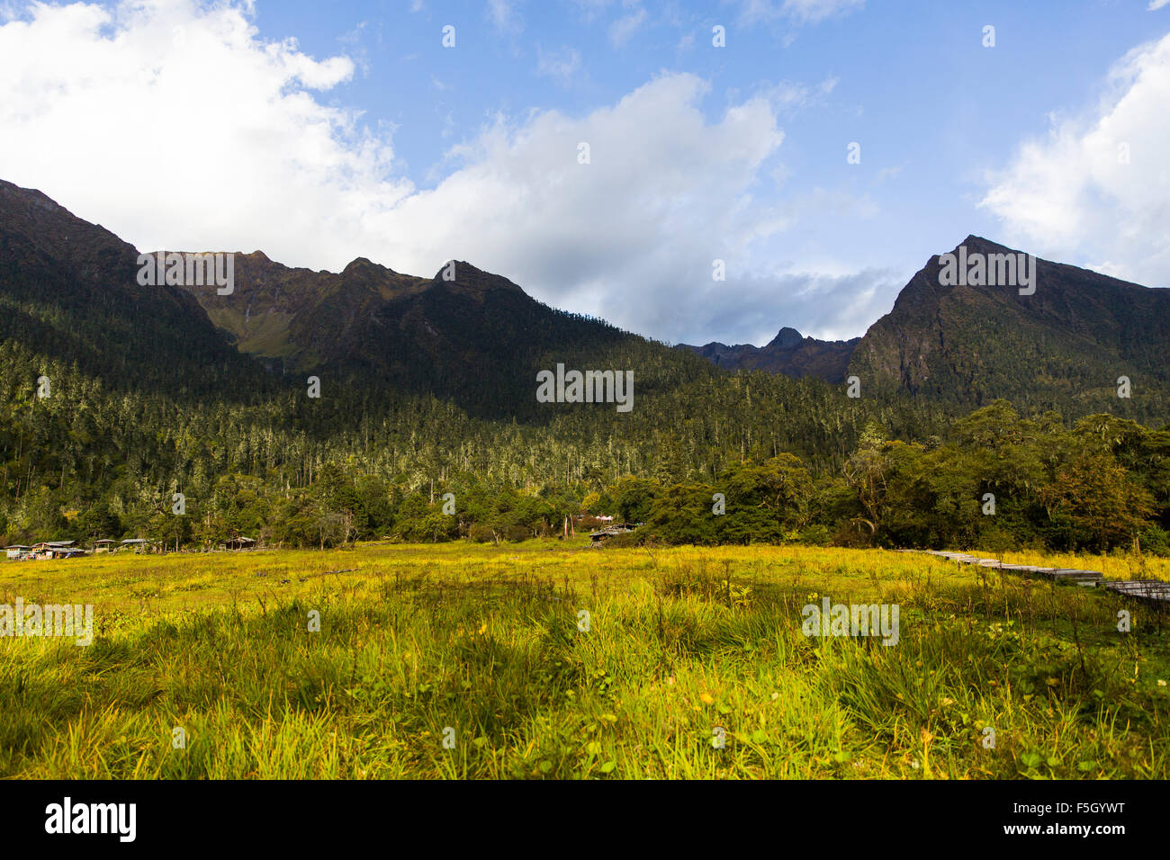 Nanyi valley in Tibet, China Stock Photo - Alamy