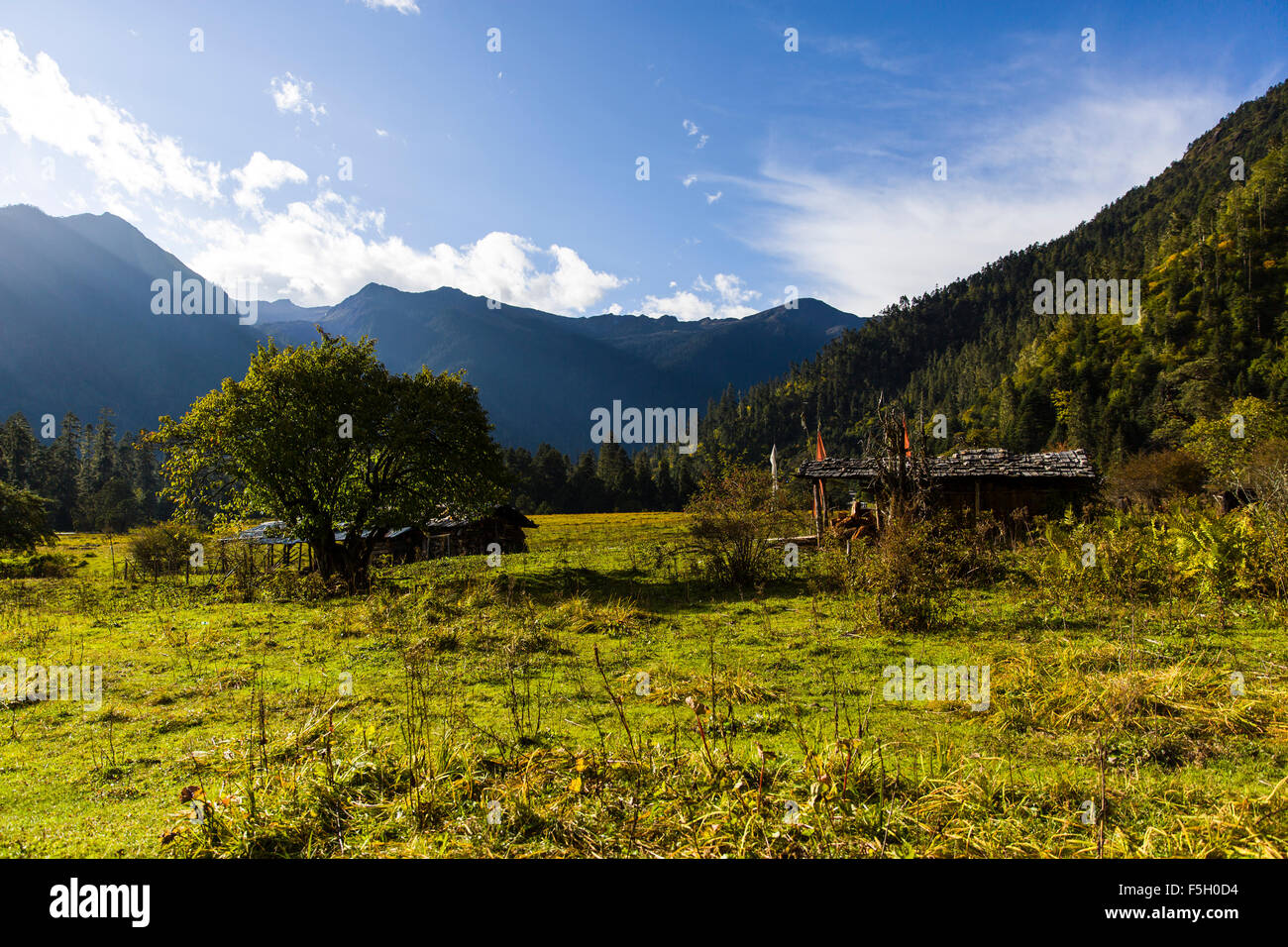 Nanyi valley in Tibet, China Stock Photo - Alamy
