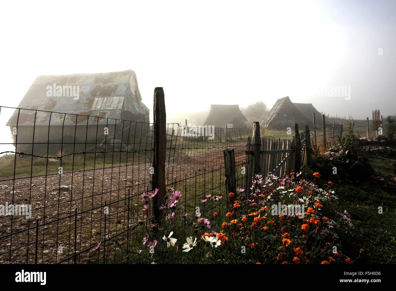The way from Gradina (Umoljani) to Studeni Potok, old houses and ...