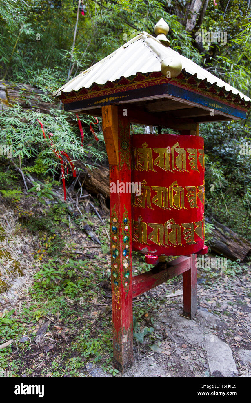 Ghading valley in Tibet, China Stock Photo - Alamy