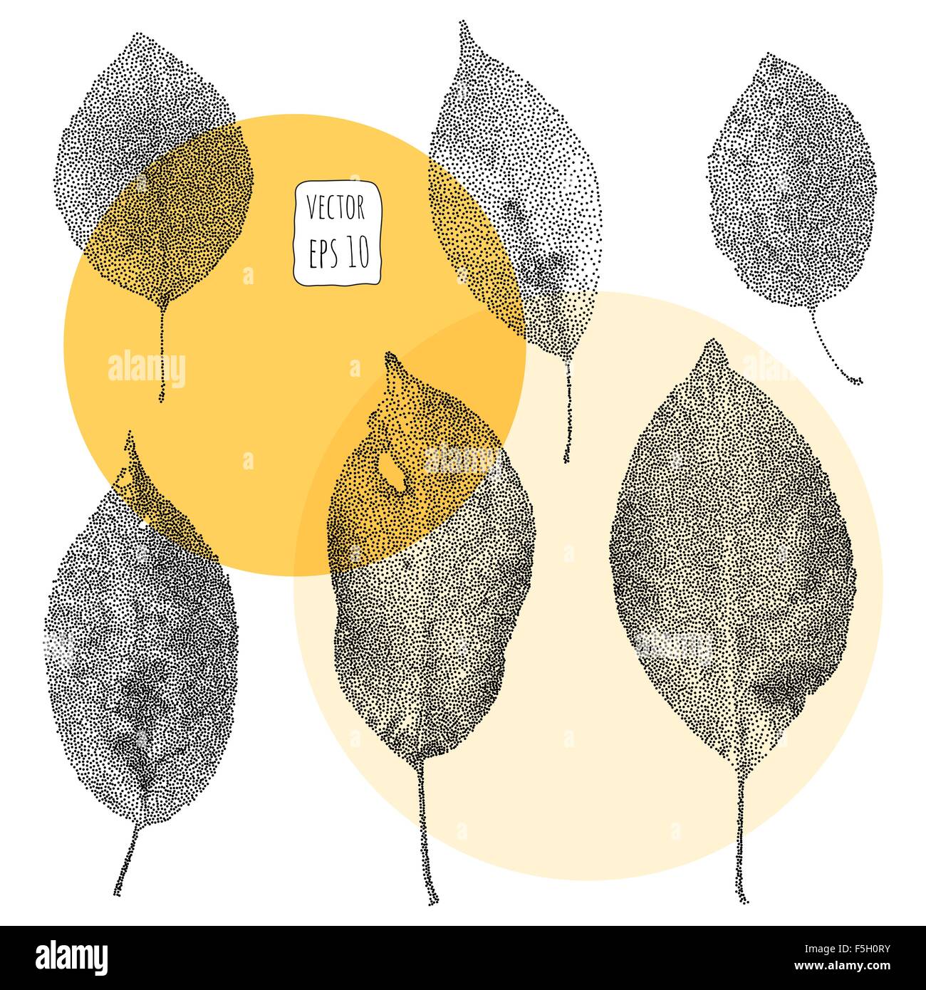 Leaves. Pattern with leaf Stock Vector Image & Art - Alamy