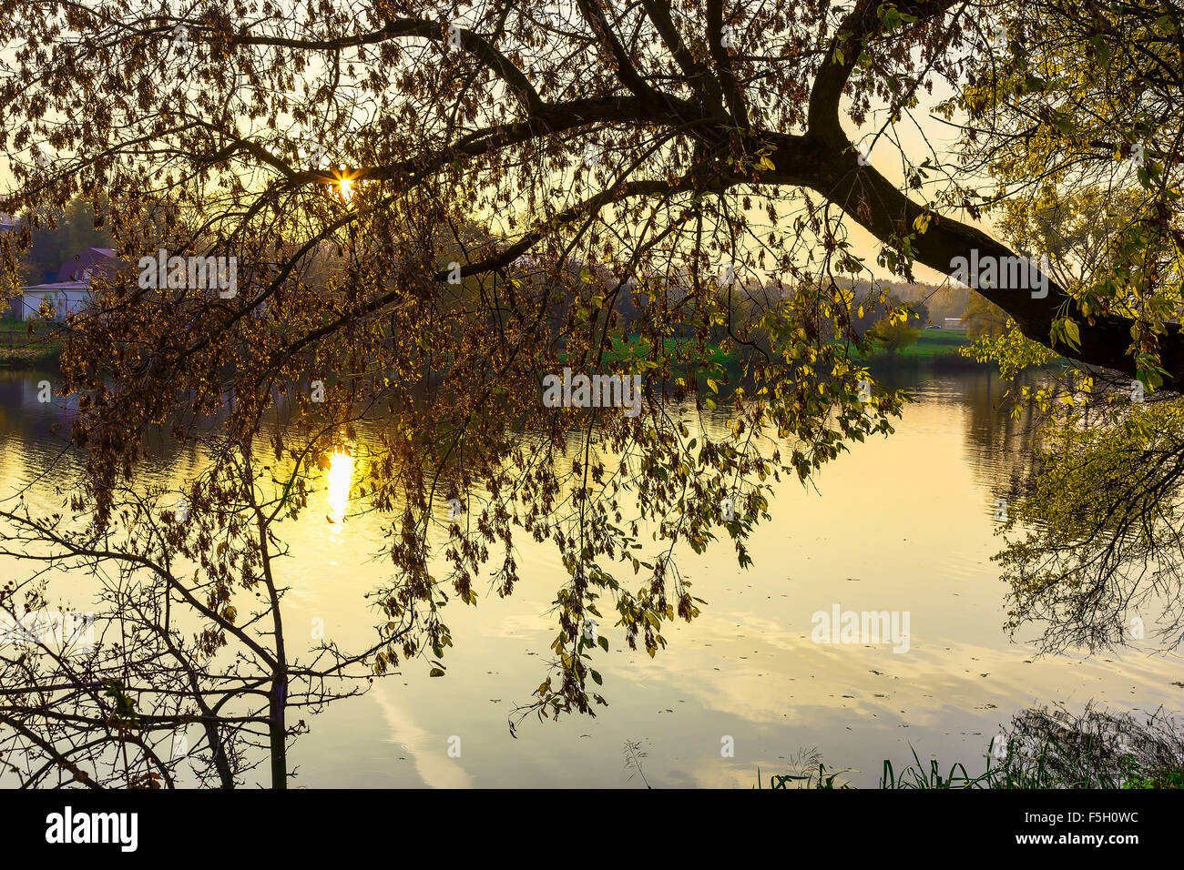 Hanging branches over river hi-res stock photography and images - Alamy