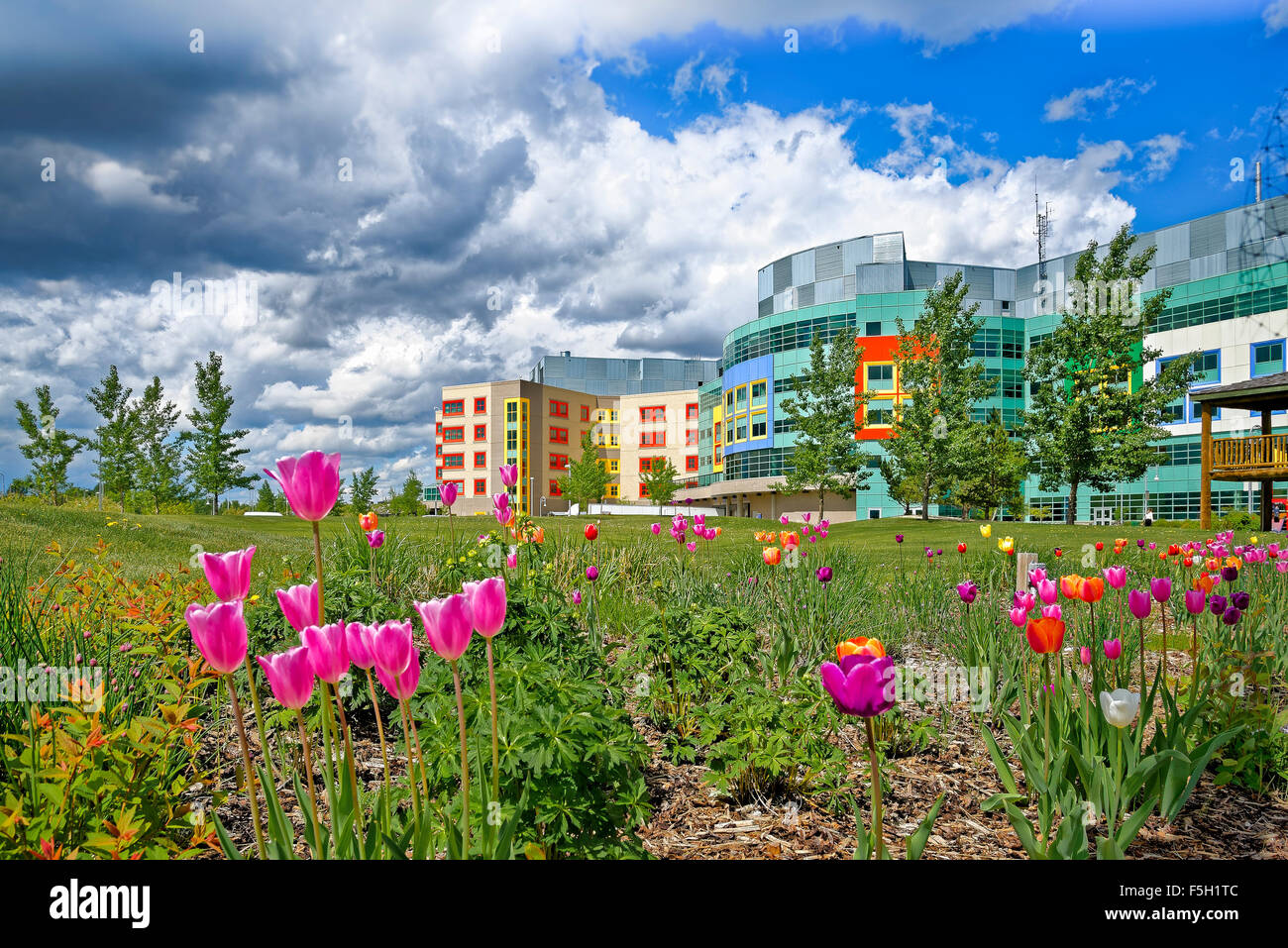 The Alberta Children's Hospital, Calgary, Alberta, Canada Stock Photo ...