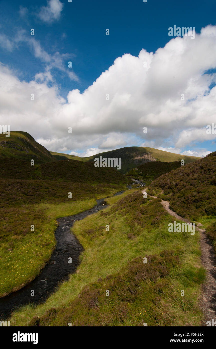 The Tail burn above the Grey Mares Tail, Dumfries and Galloway Stock ...