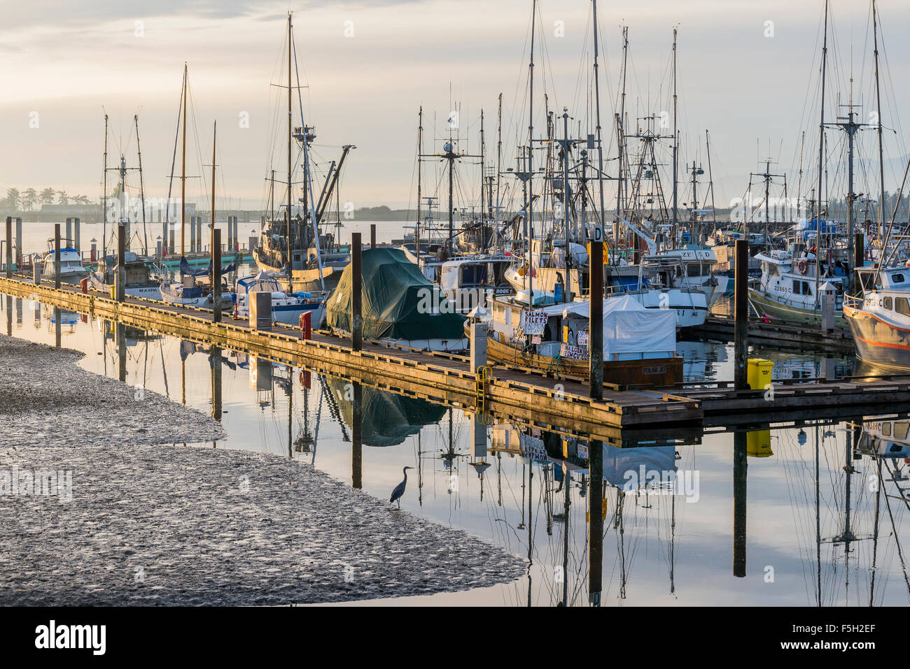 Comox fishermans wharf High Resolution Stock Photography and Images - Alamy