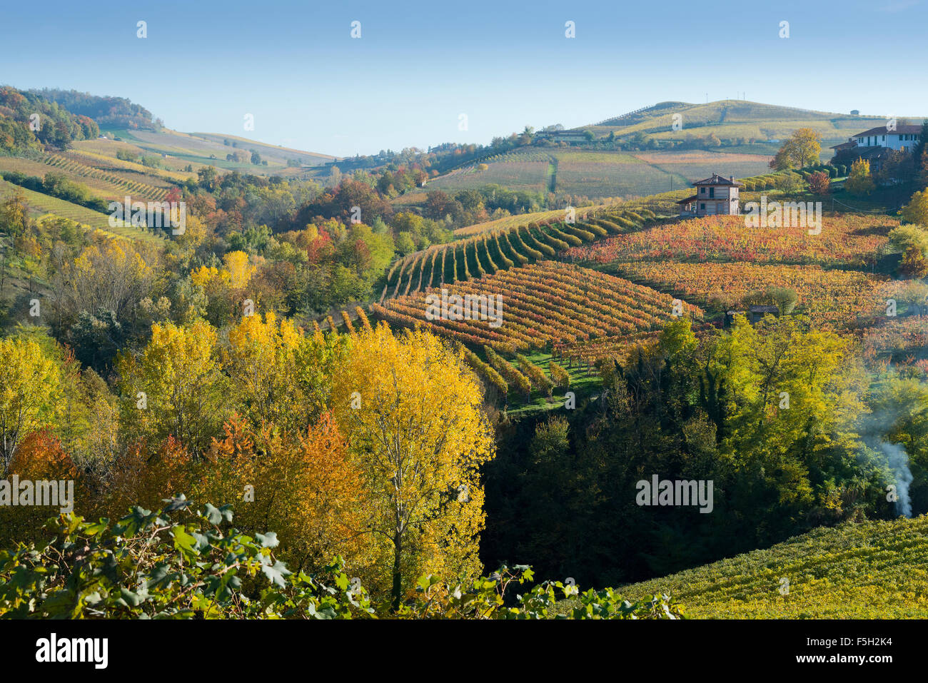 Piedmont, Italy, panorama of vineyards of Piedmont: Langhe-Roero and ...