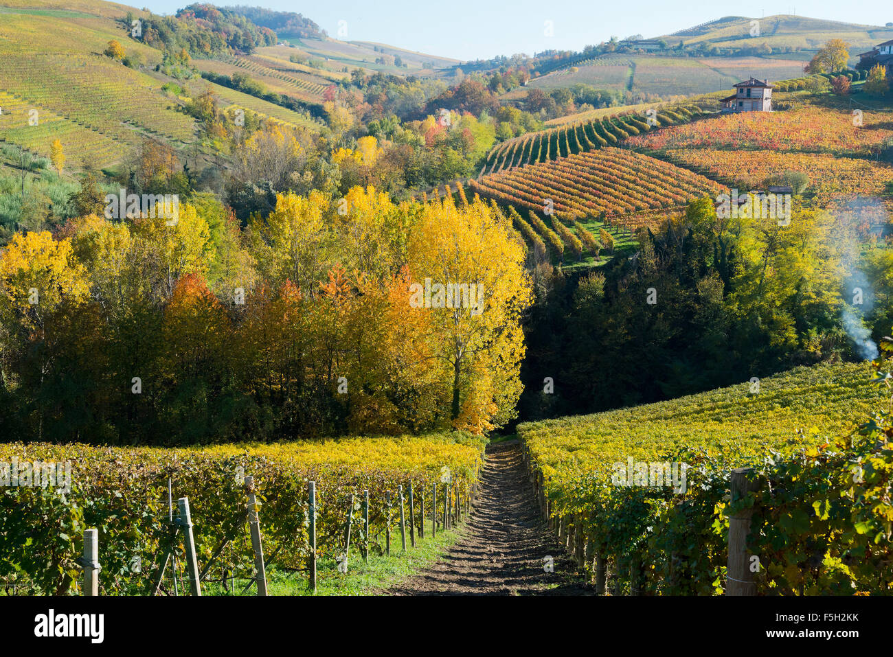 Piedmont, Italy, panorama of vineyards of Piedmont: Langhe-Roero and ...