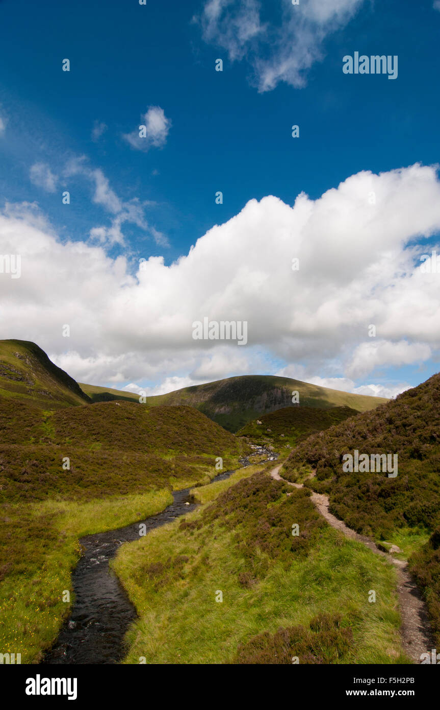 The Tail burn above the Grey Mares Tail, Dumfries and Galloway Stock ...