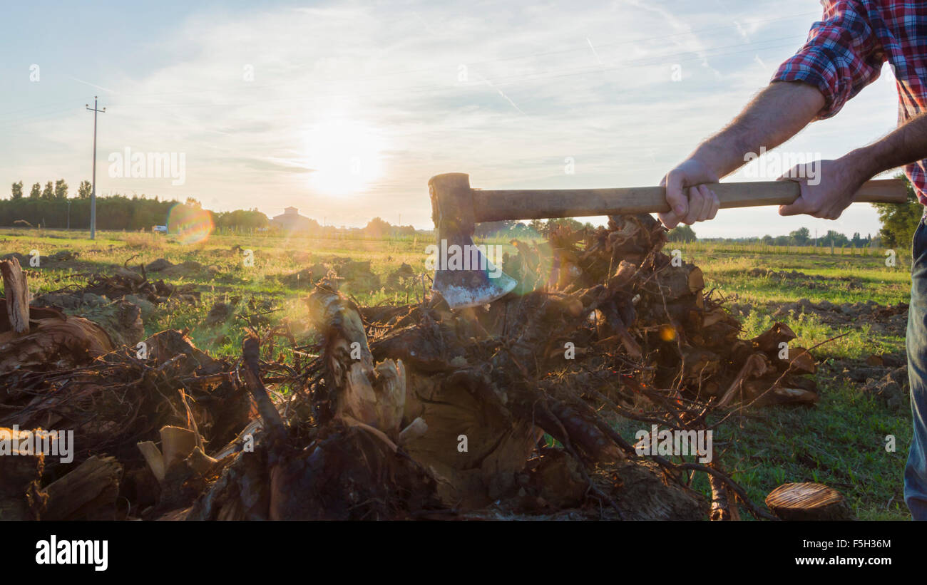woodcutter at work Stock Photo - Alamy