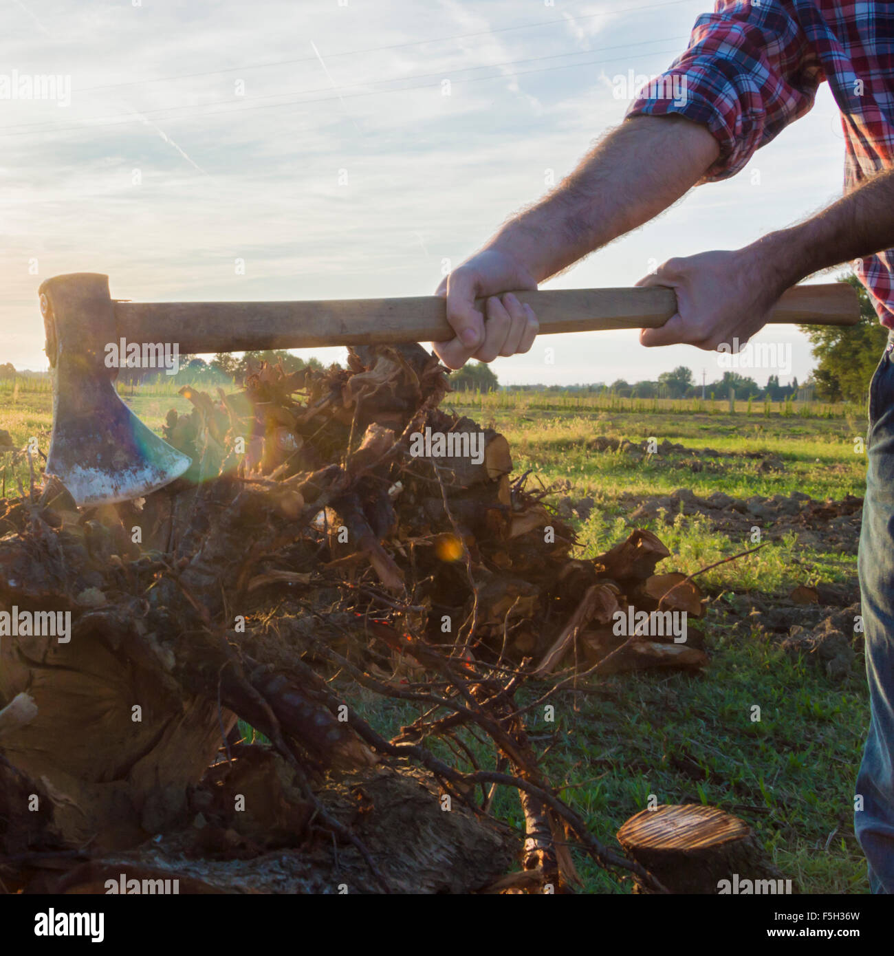 woodcutter at work Stock Photo - Alamy