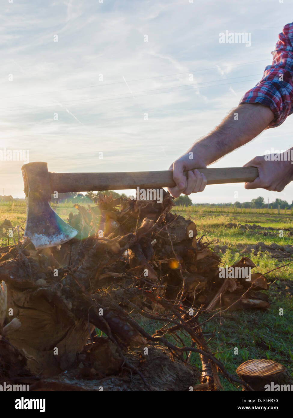 Woodcutter at work Stock Photo - Alamy