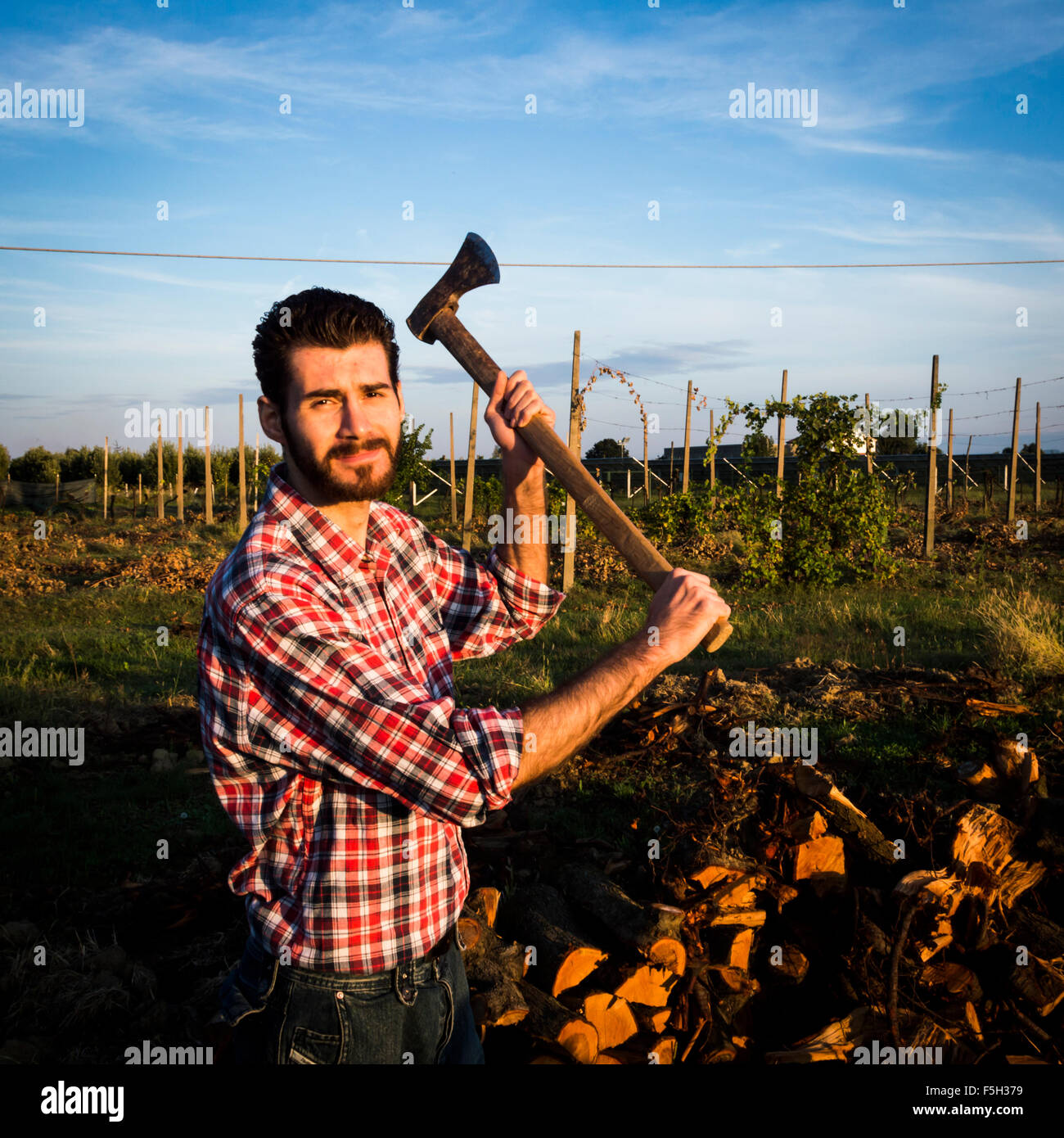 woodcutter at work Stock Photo - Alamy