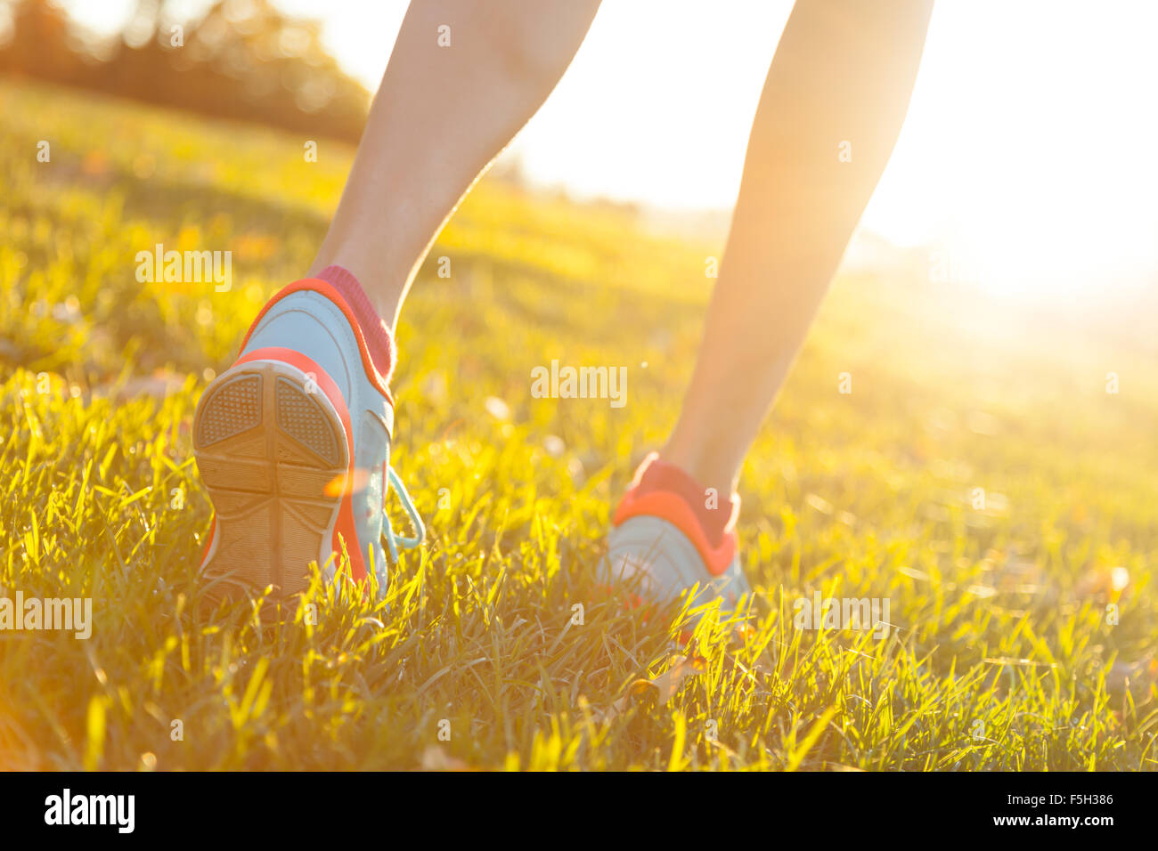 Close up of feet of female runner Stock Photo - Alamy